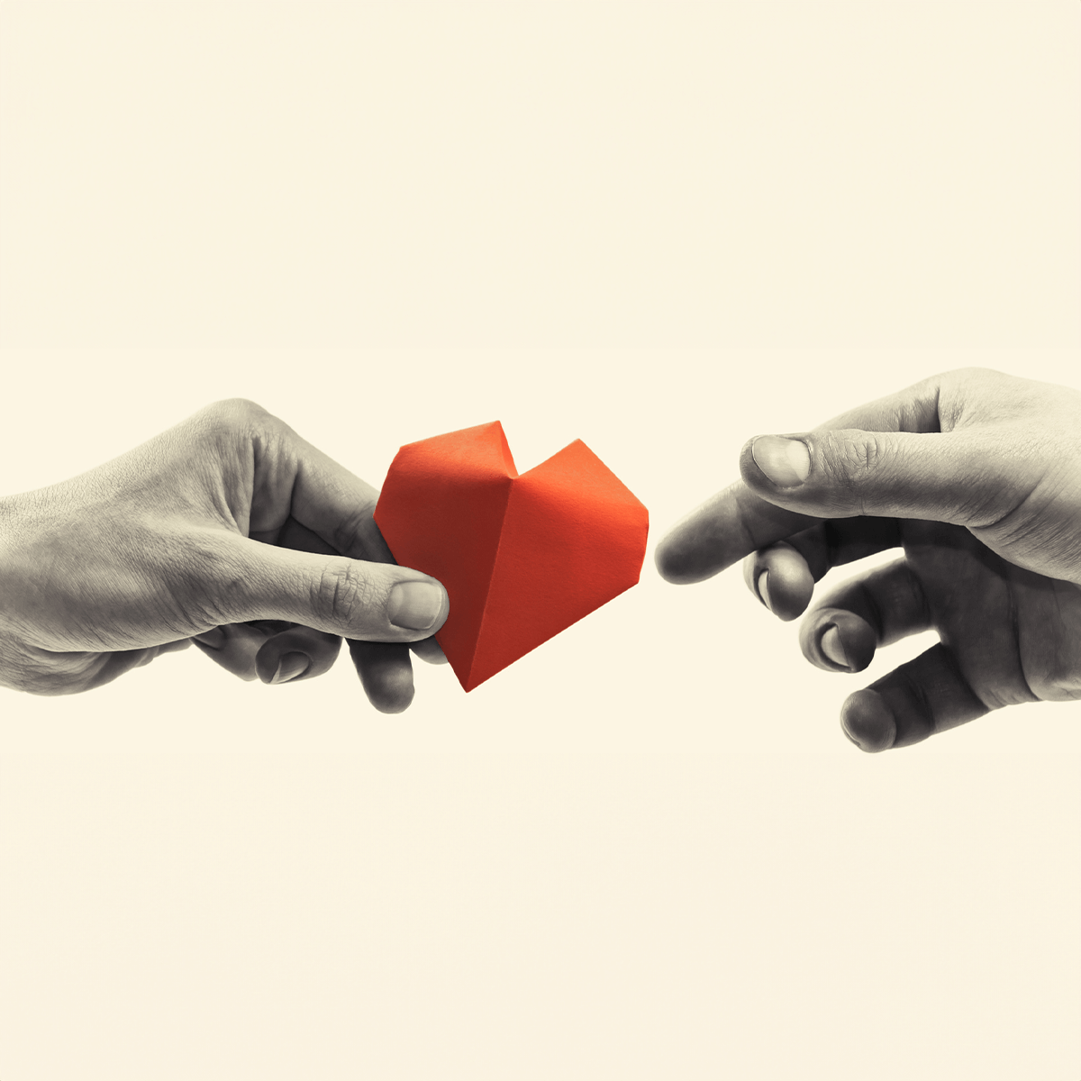 Crafting a Lasting Legacy: The Power of Charitable Giving in Estate ...