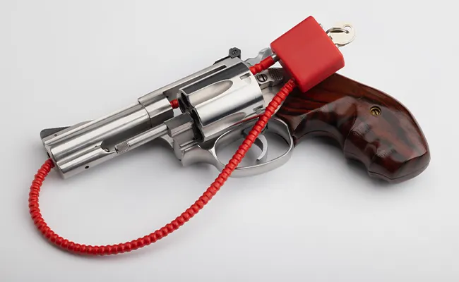 Inheriting a firearm